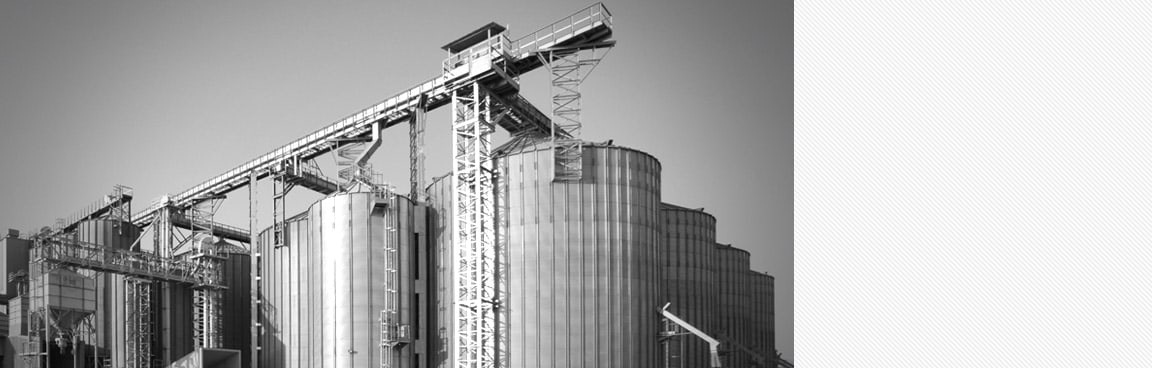 Homepage - Soya Hellas