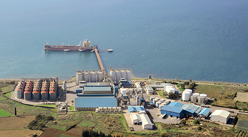 The Company - Soya Hellas