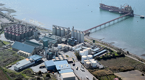 The Company - Soya Hellas